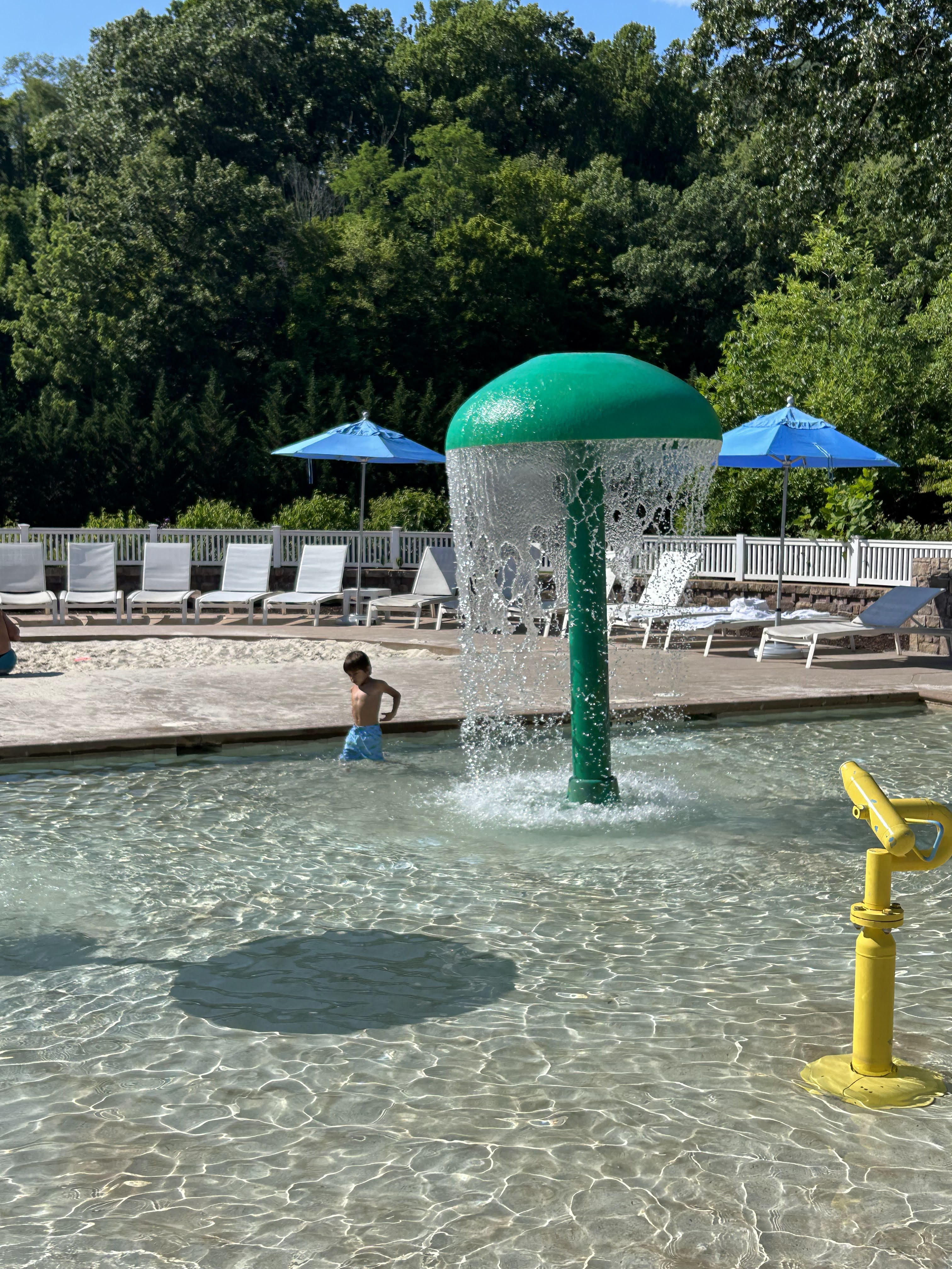 Birthday in VA mountains – An "Iconic" Family Adventure