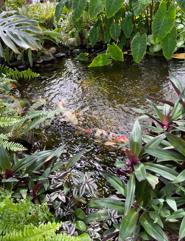 VT in Spring! – An "Iconic" Family Adventure